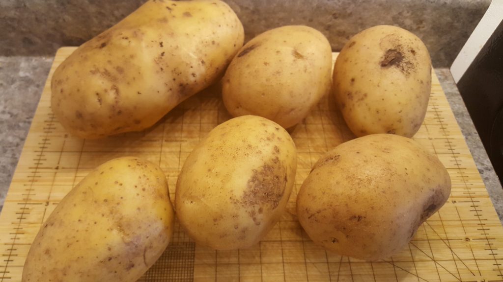 Paluski – Jenny's Cakes